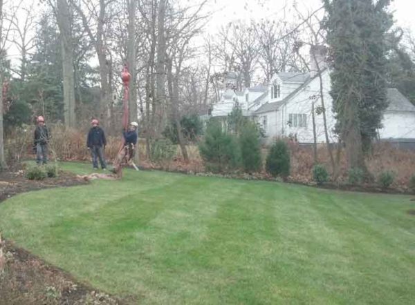 Lawn maintenance NJ - Lawn Care Service Program - TREE-TECH, Inc.