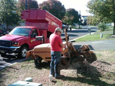 Morris County - TREE-TECH, Inc.