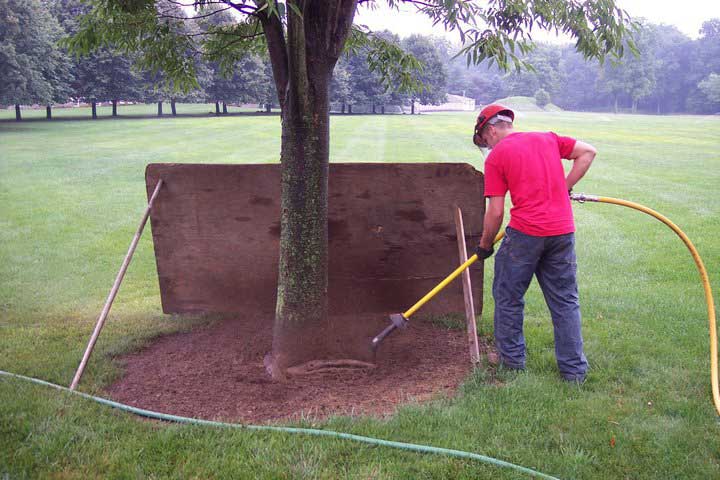 Featured Services - TREE-TECH, Inc.